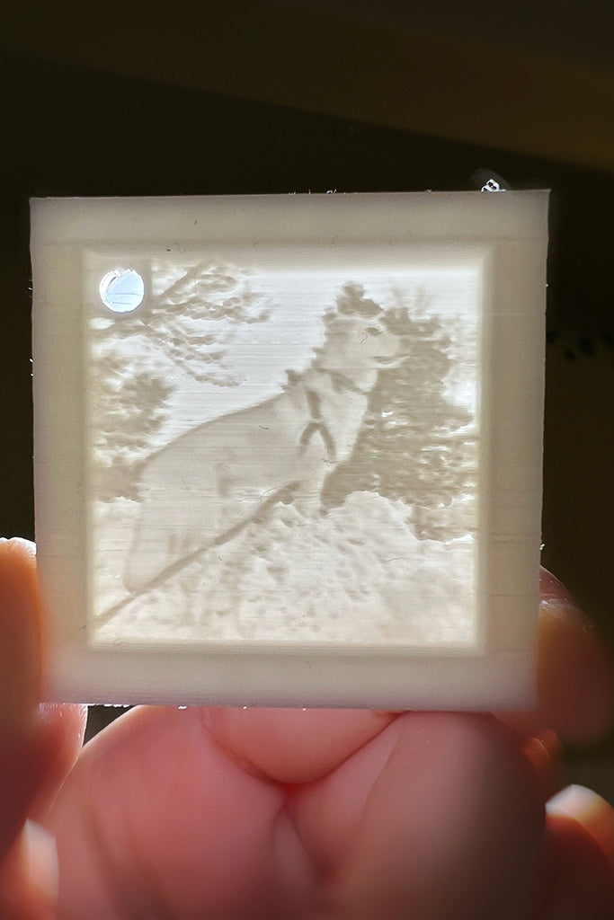 Lithophane Keychain – 3D Monster Design